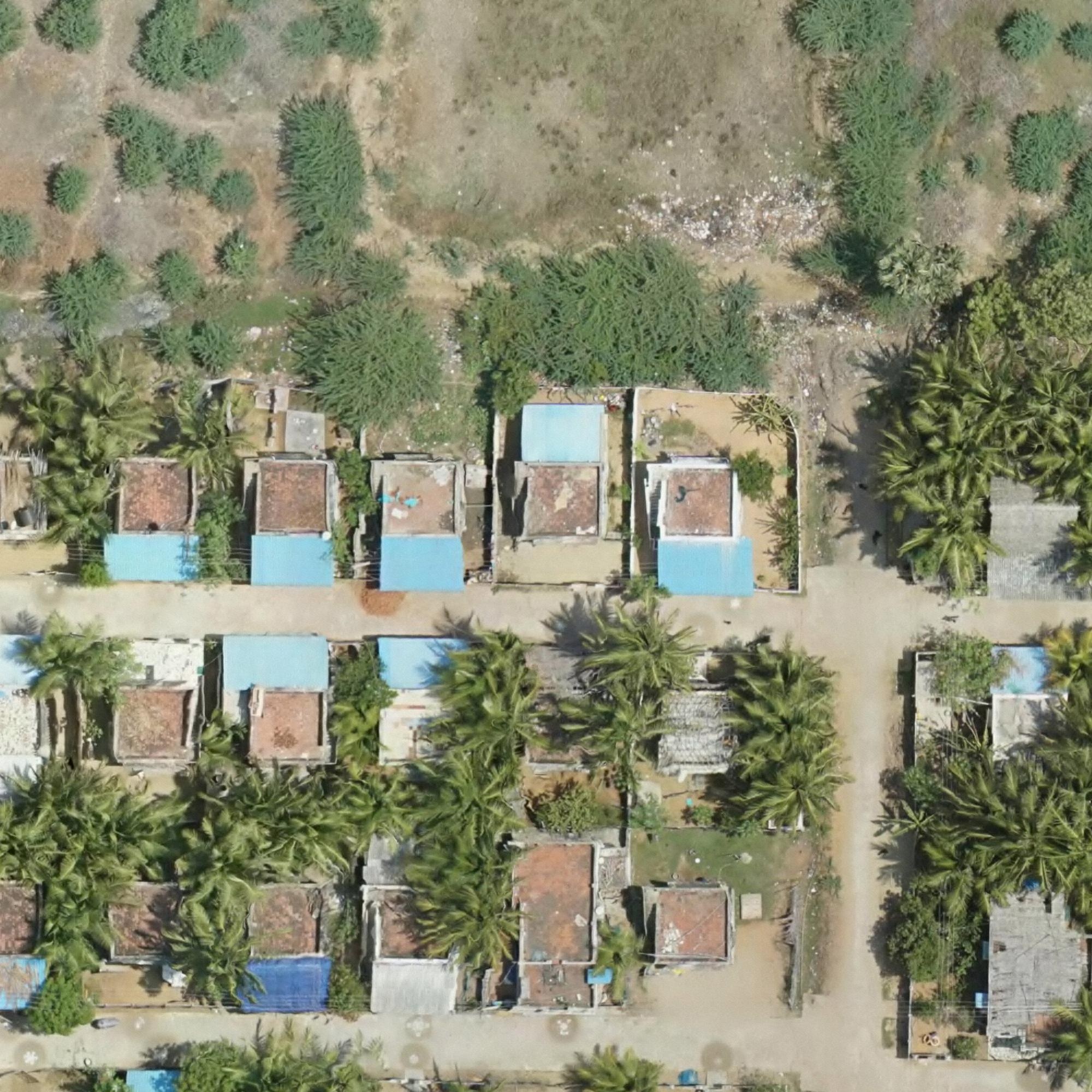 Allcoconut Object Detection Dataset And Pre Trained Model By Coconut