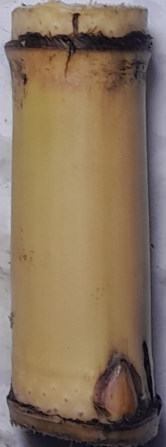 BBBB (bbbb-kcbla) - Roboflow Universe