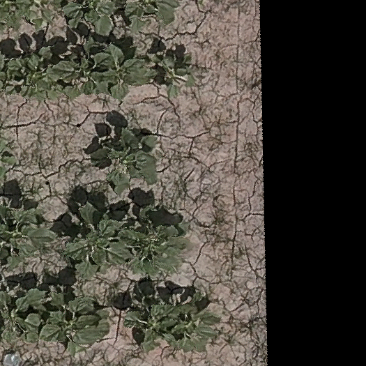 soybean Object Detection Dataset by karachi university