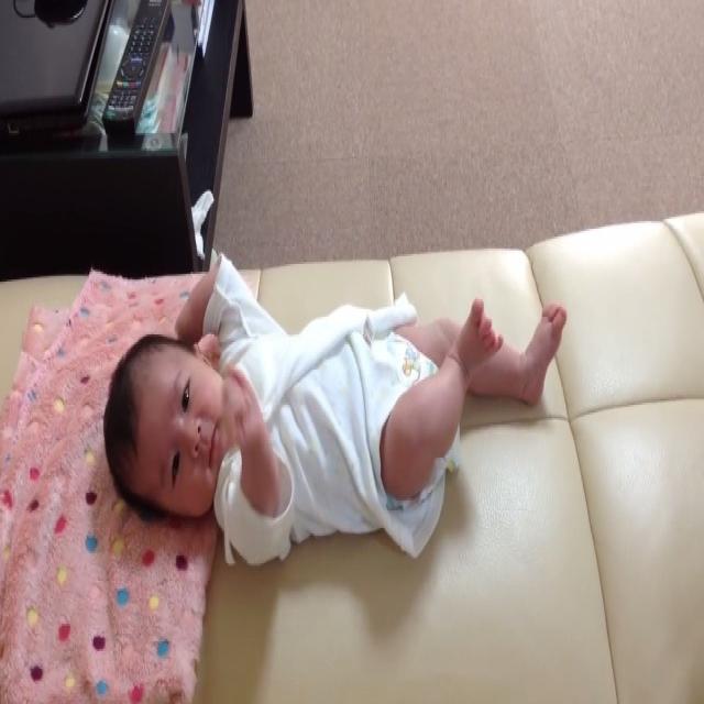 baby_body_parsing Instance Segmentation Dataset and Pre-Trained Model ...