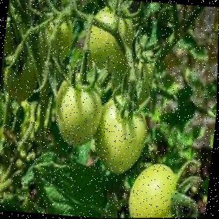 Tomato_detection Object Detection Model by vegetabesdetection