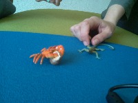 Introduction to IA and Raspberry Pi - Roboflow Universe