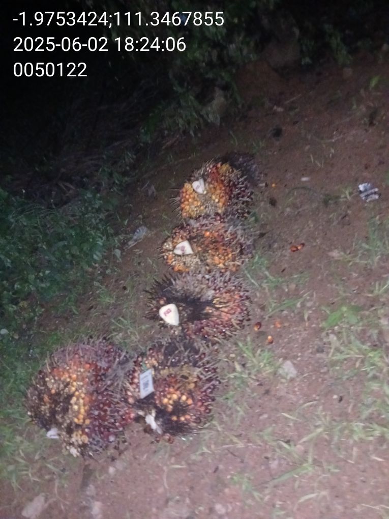 Augmentation For Counting Object Detection Dataset and Pre-Trained Model by Project 1