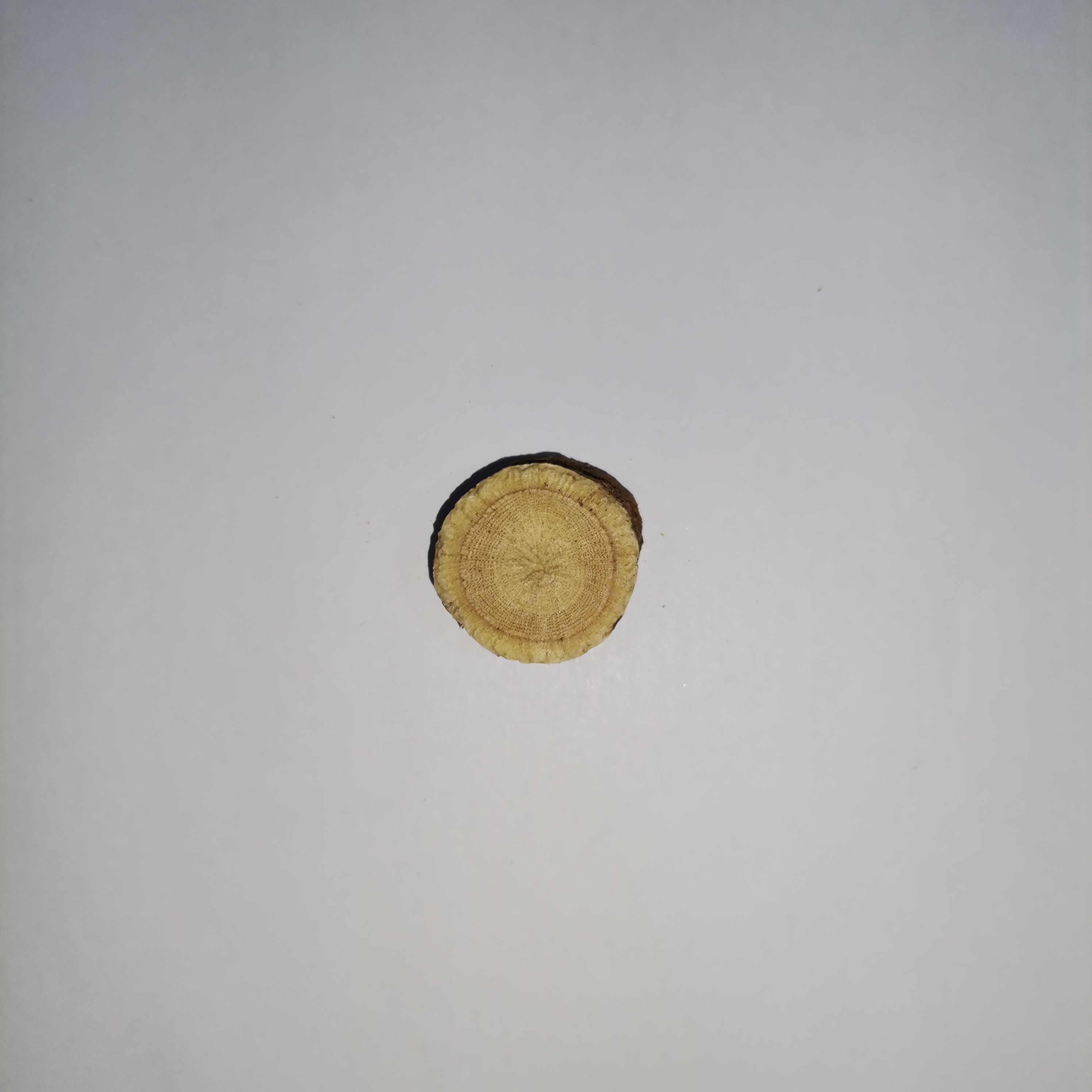 herb Object Detection Dataset by toffs