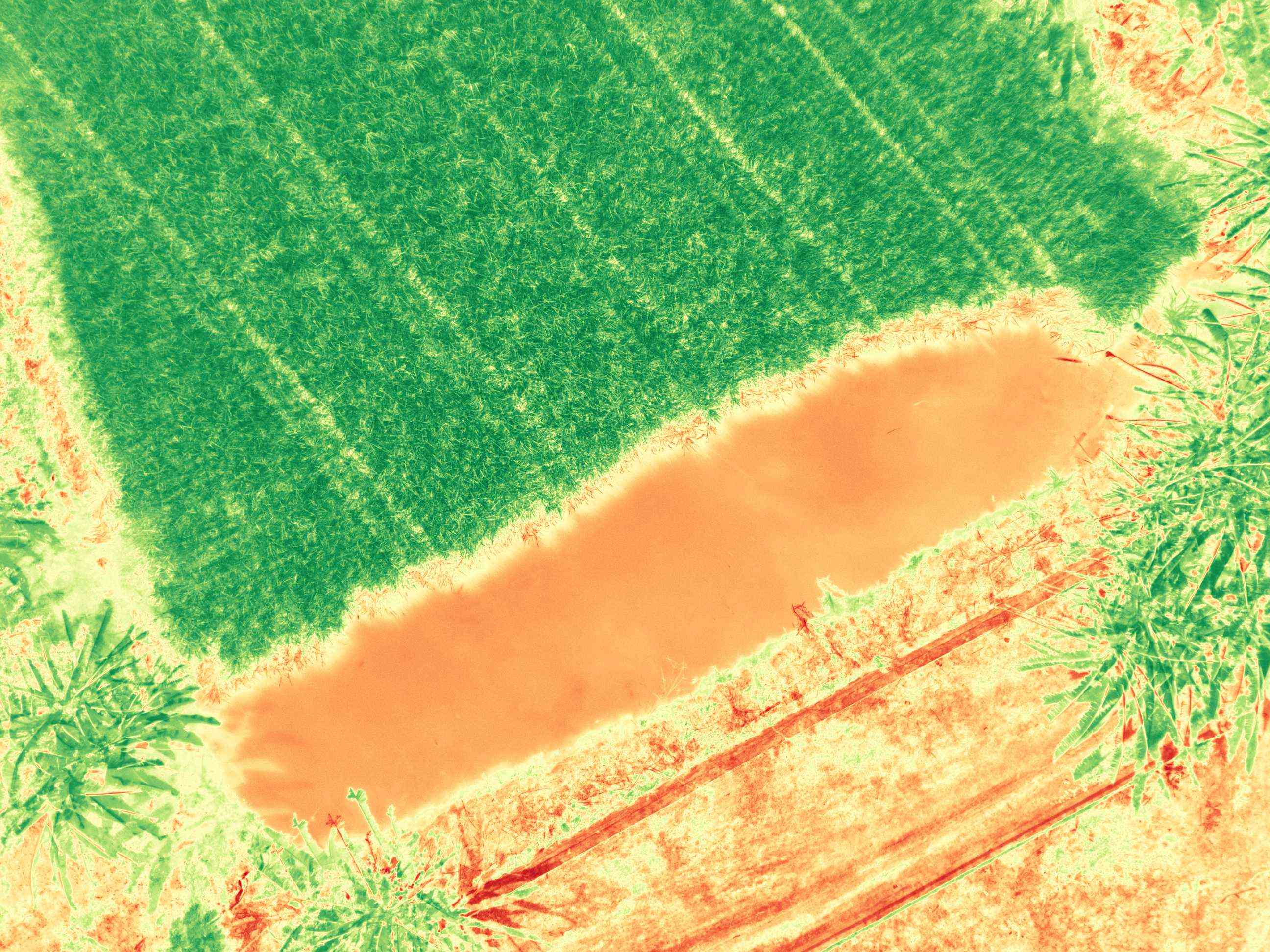 CycleGAN Semantic Segmentation Dataset by CycleGAN