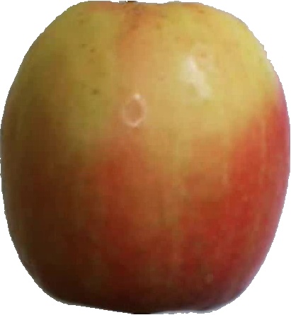 Apples Instance Segmentation Dataset by Apples