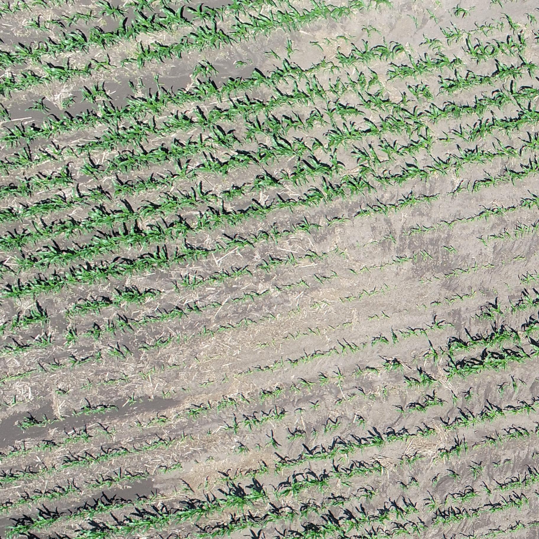 Fields Object Detection Model by test