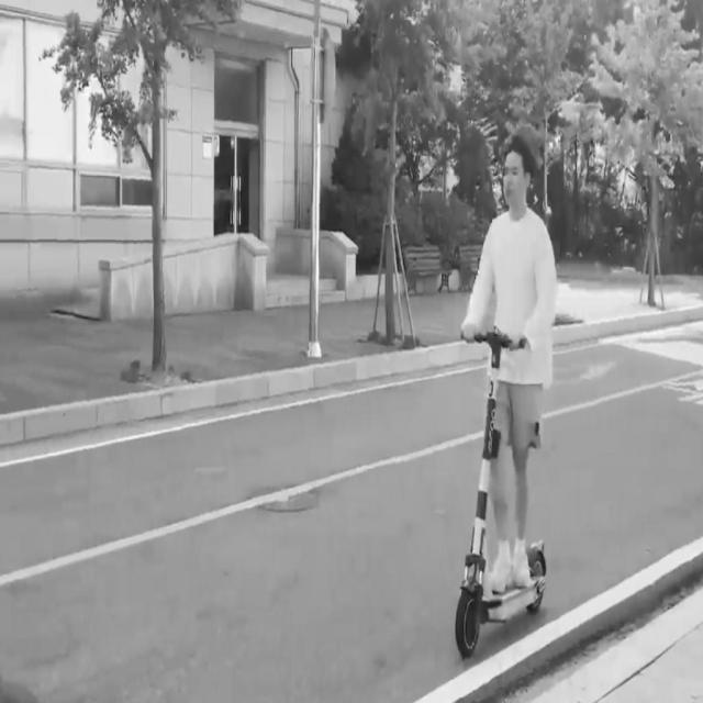 gray Object Detection Dataset and Pre-Trained Model by grayscooter