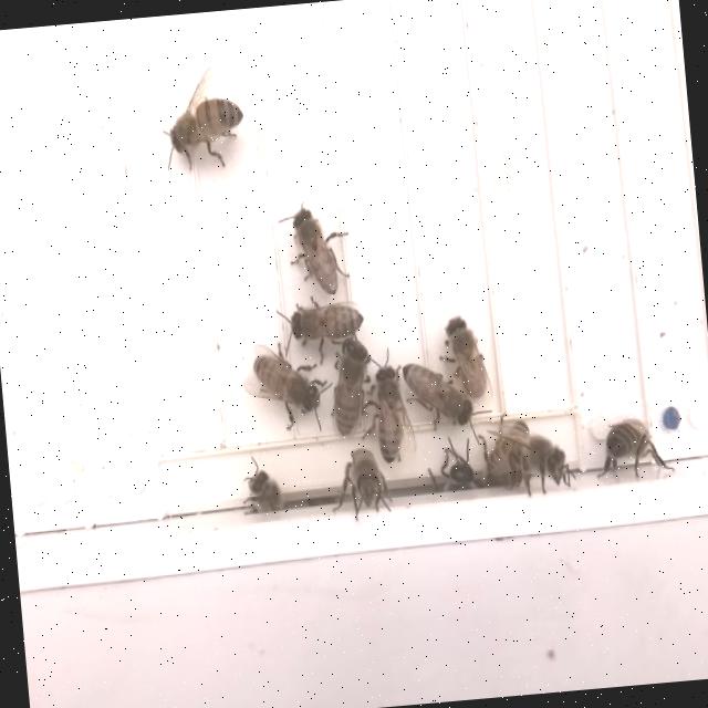 Thesis Object Detection Model by Justin