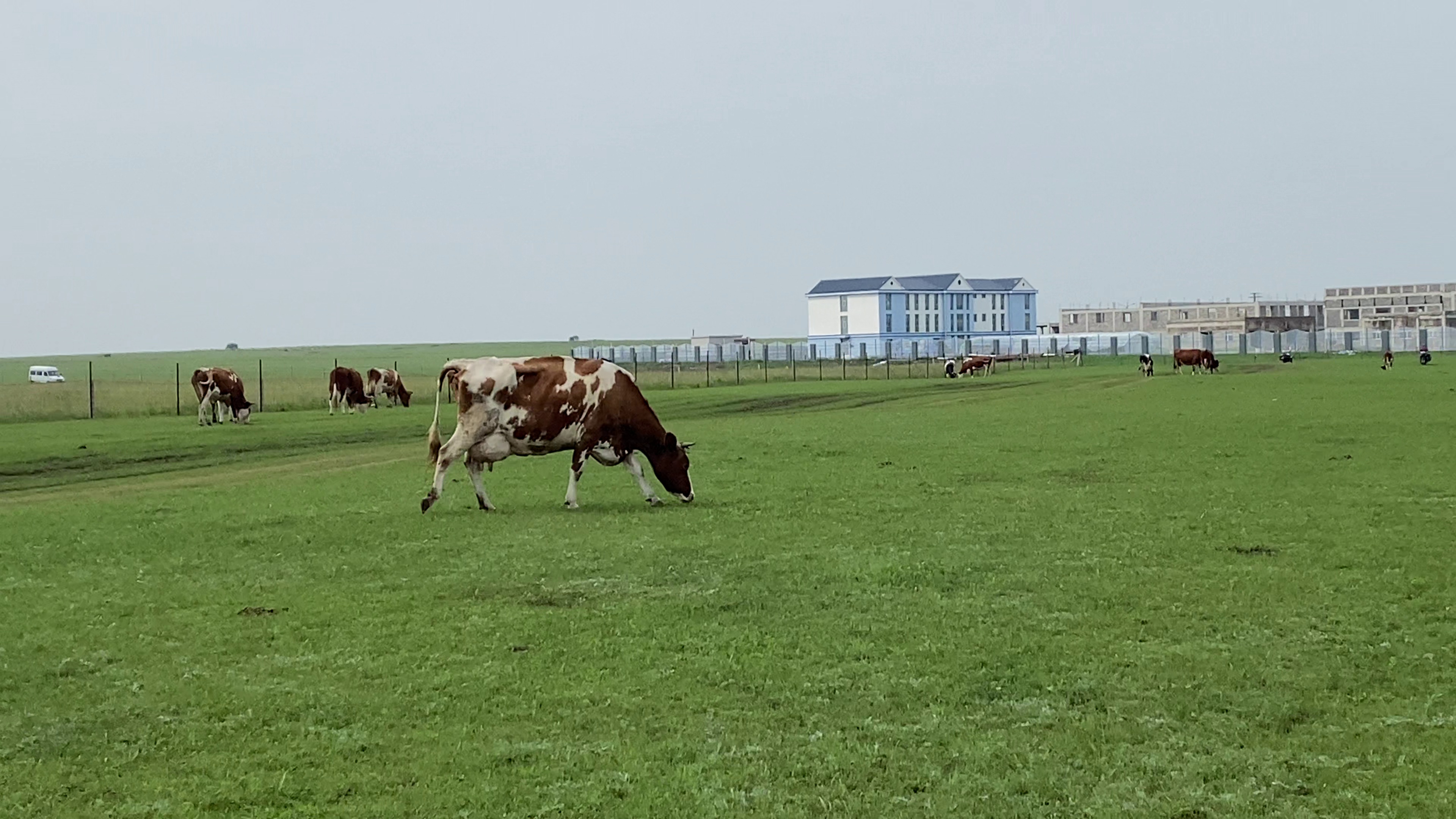 3213001 Keypoint Detection Model by Yiwei Wang