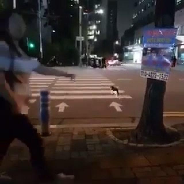 final project Object Detection Dataset by w