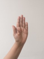 Hand Gesture Recognition Object Detection Dataset and Pre-Trained Model by hand gesture