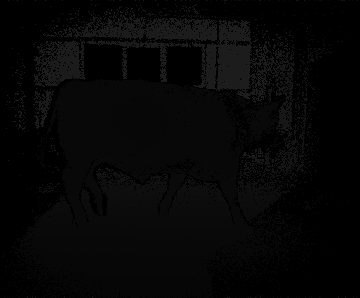 Cows Object Detection Dataset And Pre Trained Model By Hw2