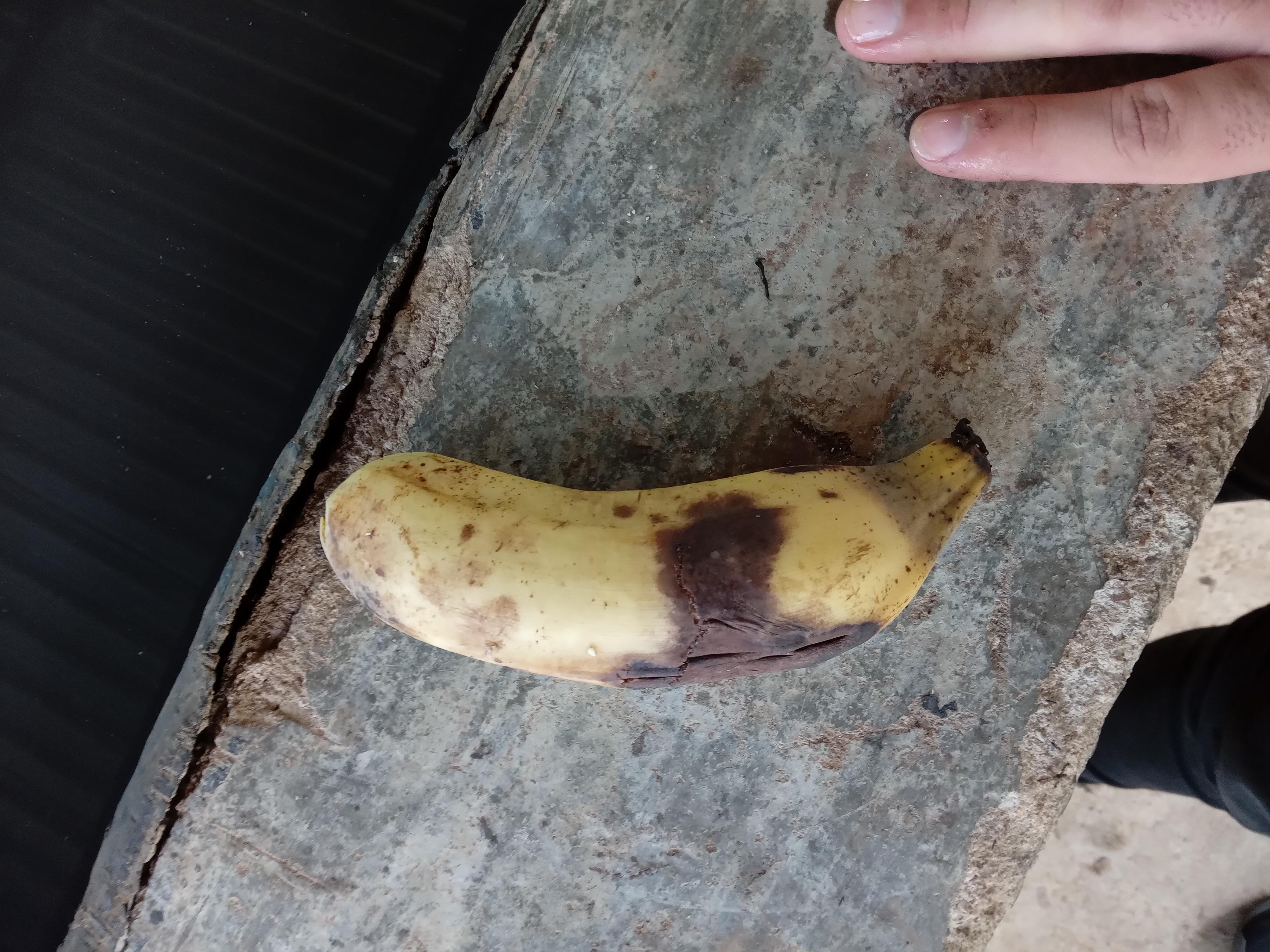 Banana Machine Learning Object Detection Dataset And Pre Trained Model