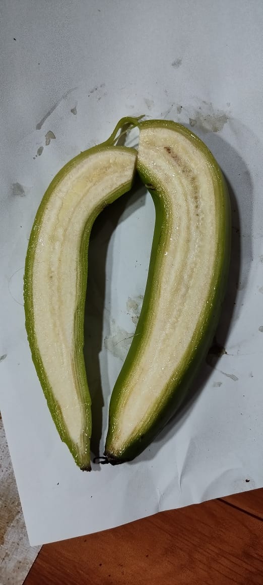 banana pulp 4 Instance Segmentation Dataset by Hemant