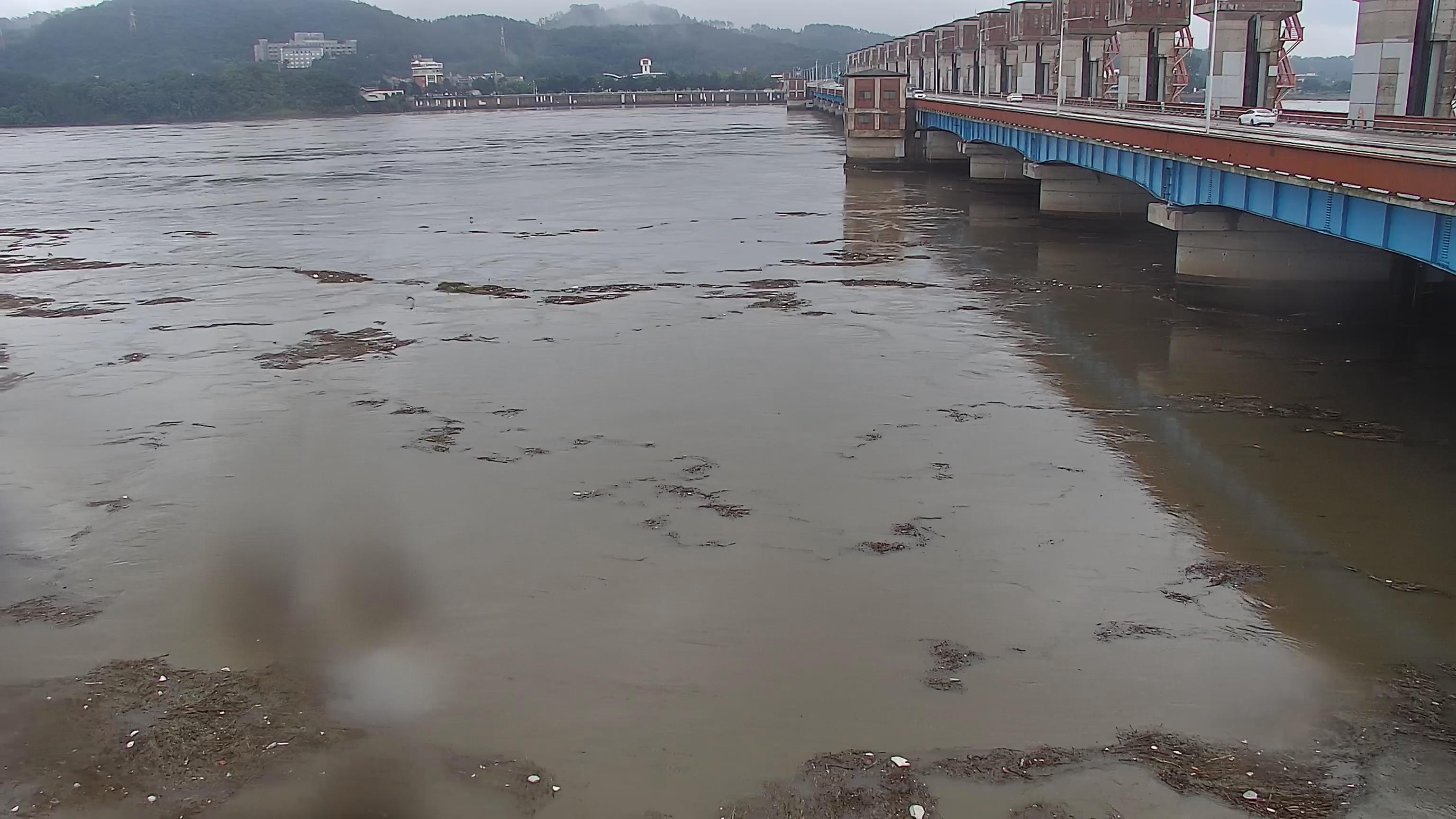 2025_origin_v1 Instance Segmentation Dataset by project-lxwwi