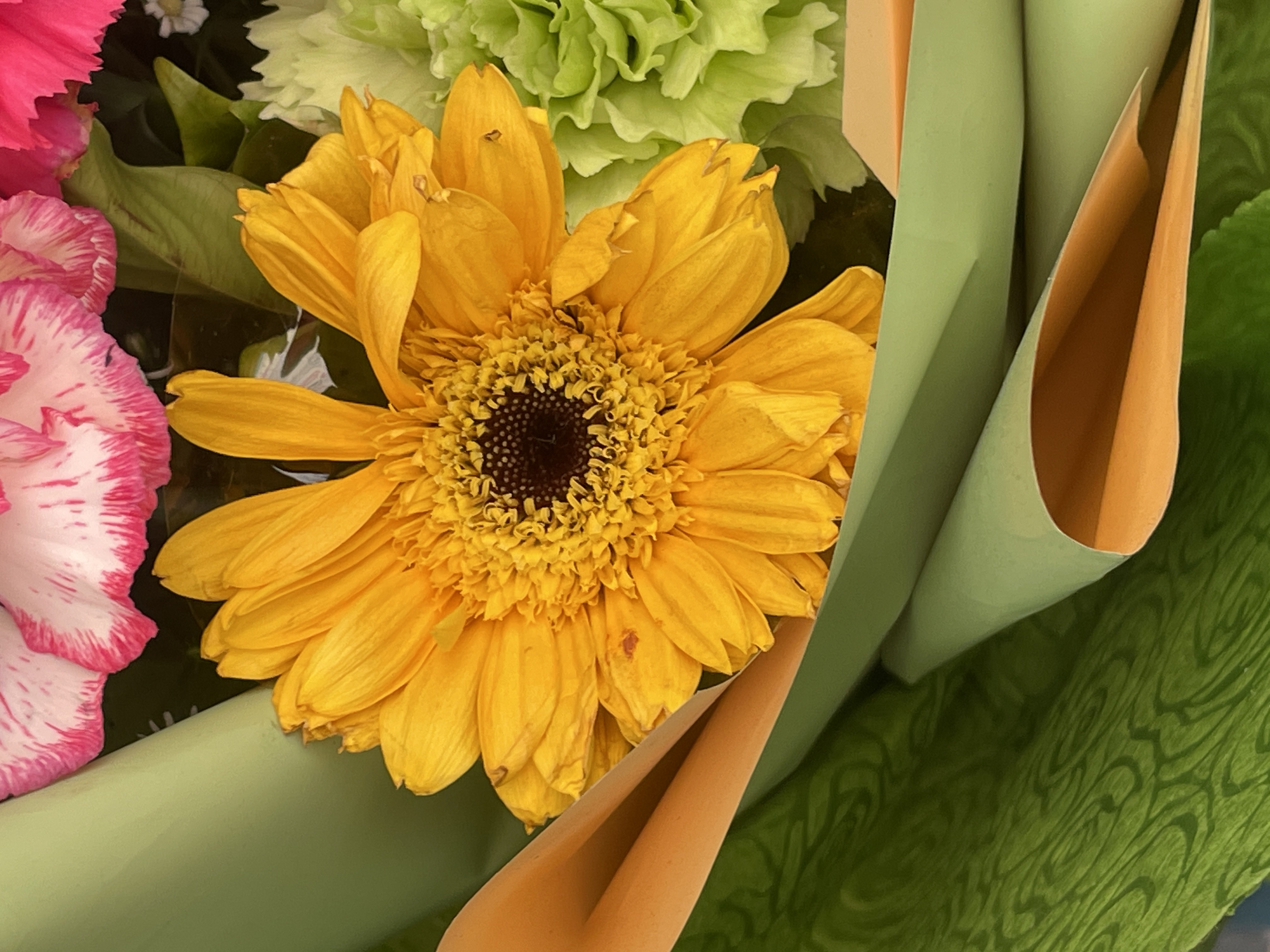 Flower Classification Object Detection Dataset by Said