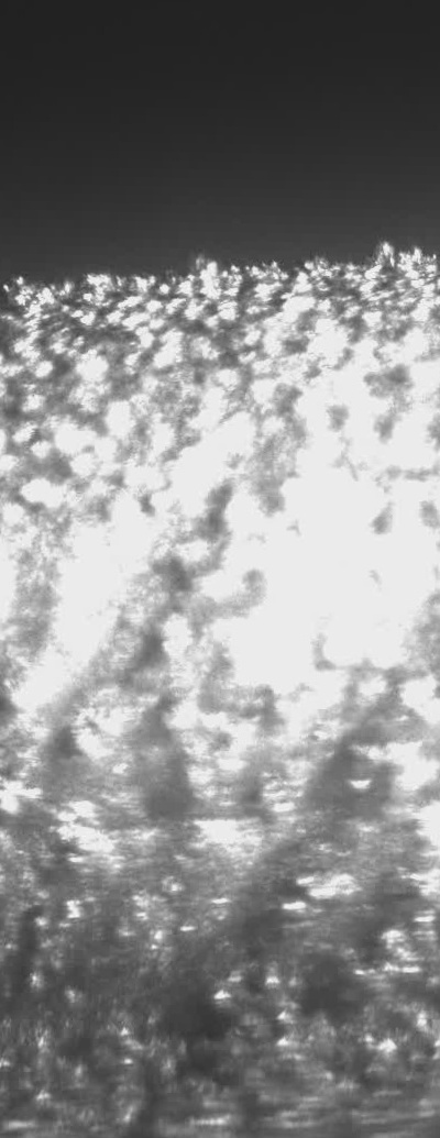 2 Object Detection Dataset By Li Bo Shi