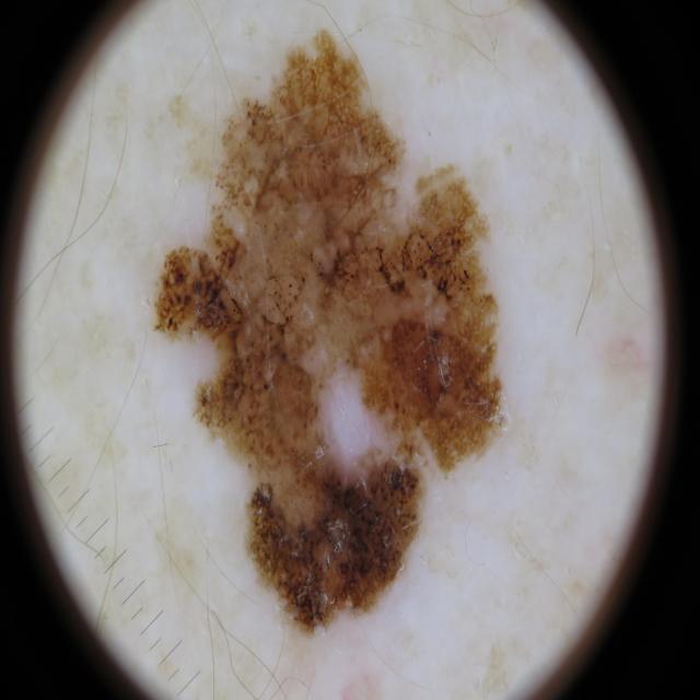 Machine learning (machine-learning-joann) - Roboflow Universe