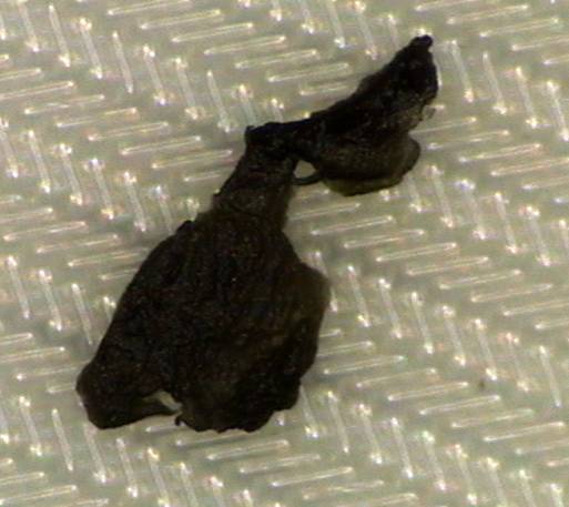 demo (demo-szxl8) - Roboflow Universe