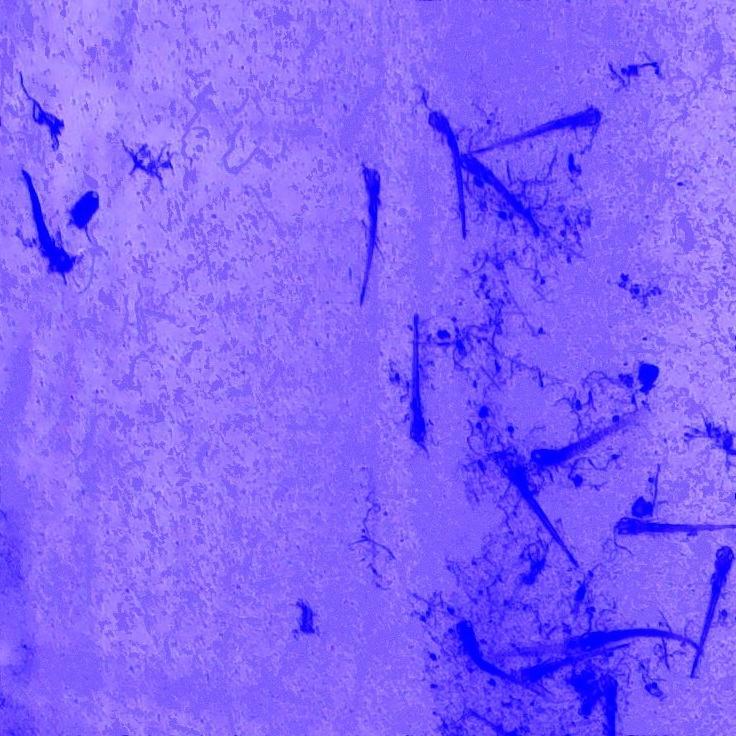 Dt 023 C M Y V4 Od 100 Imgs Head Object Detection Dataset By Postlarvaslitap