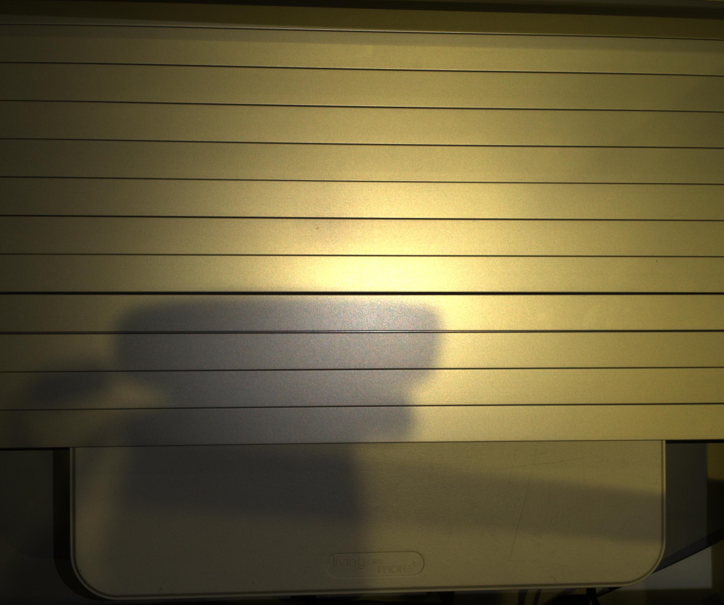 Frame Instance Segmentation Dataset by LabelExport