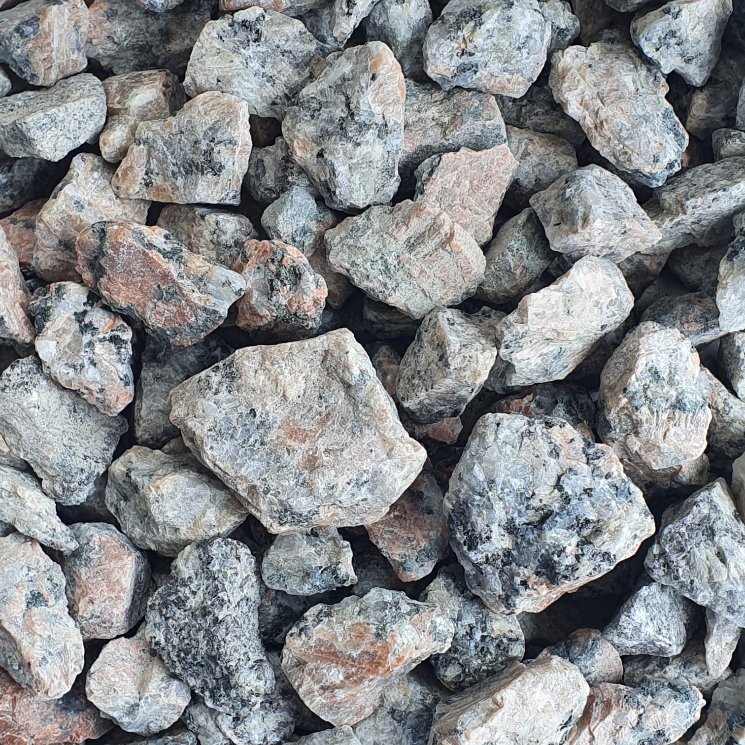 TCC Instance Segmentation Model by Ricardo Nunes