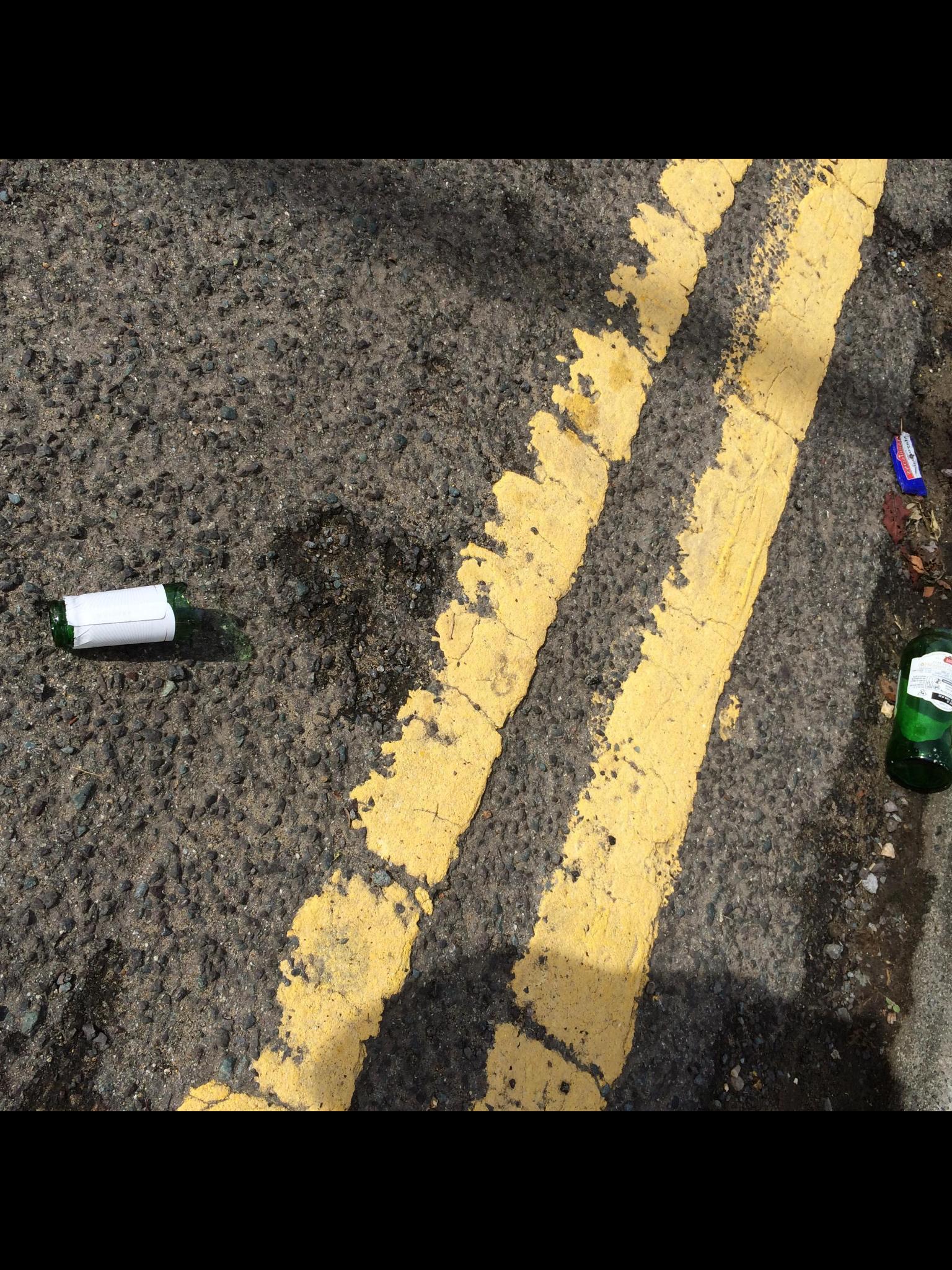 new_data Object Detection Dataset by yolo