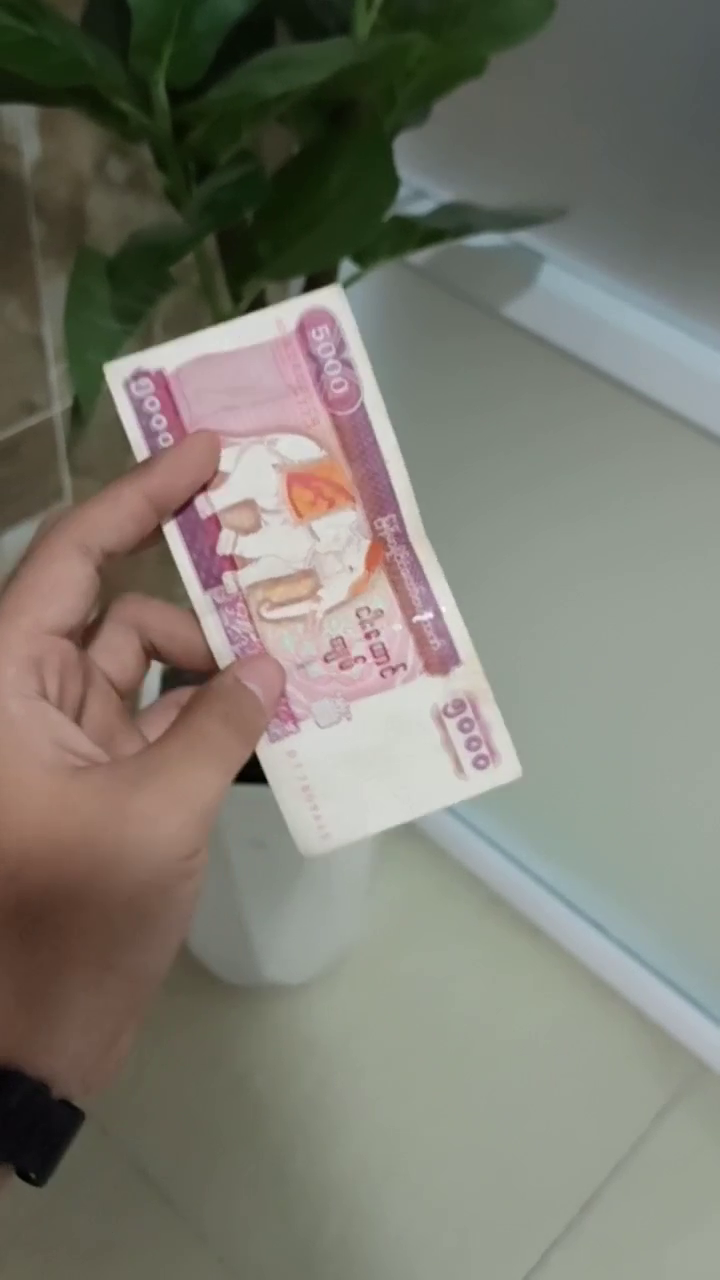 Currency Classification Object Detection Dataset By Swans Project