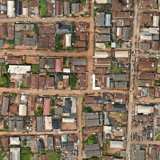 How to Use the Random Tre Instance Segmentation API