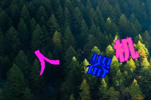 Char-detection Object Detection Dataset by cncacaptch