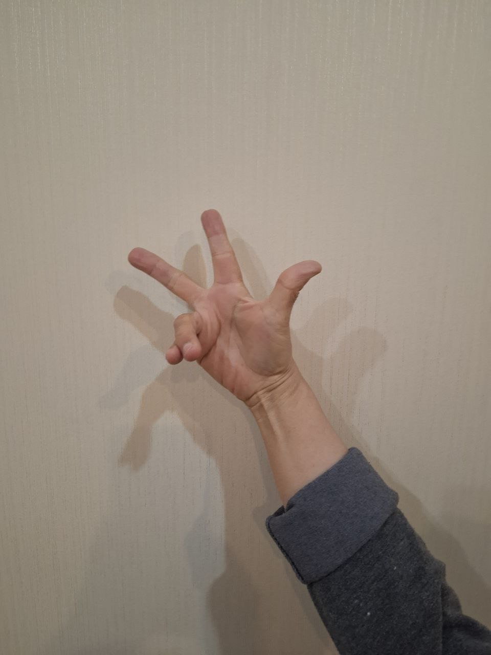 Merged-Dataset-Rock-Paper-Scissors Object Detection Dataset by ...