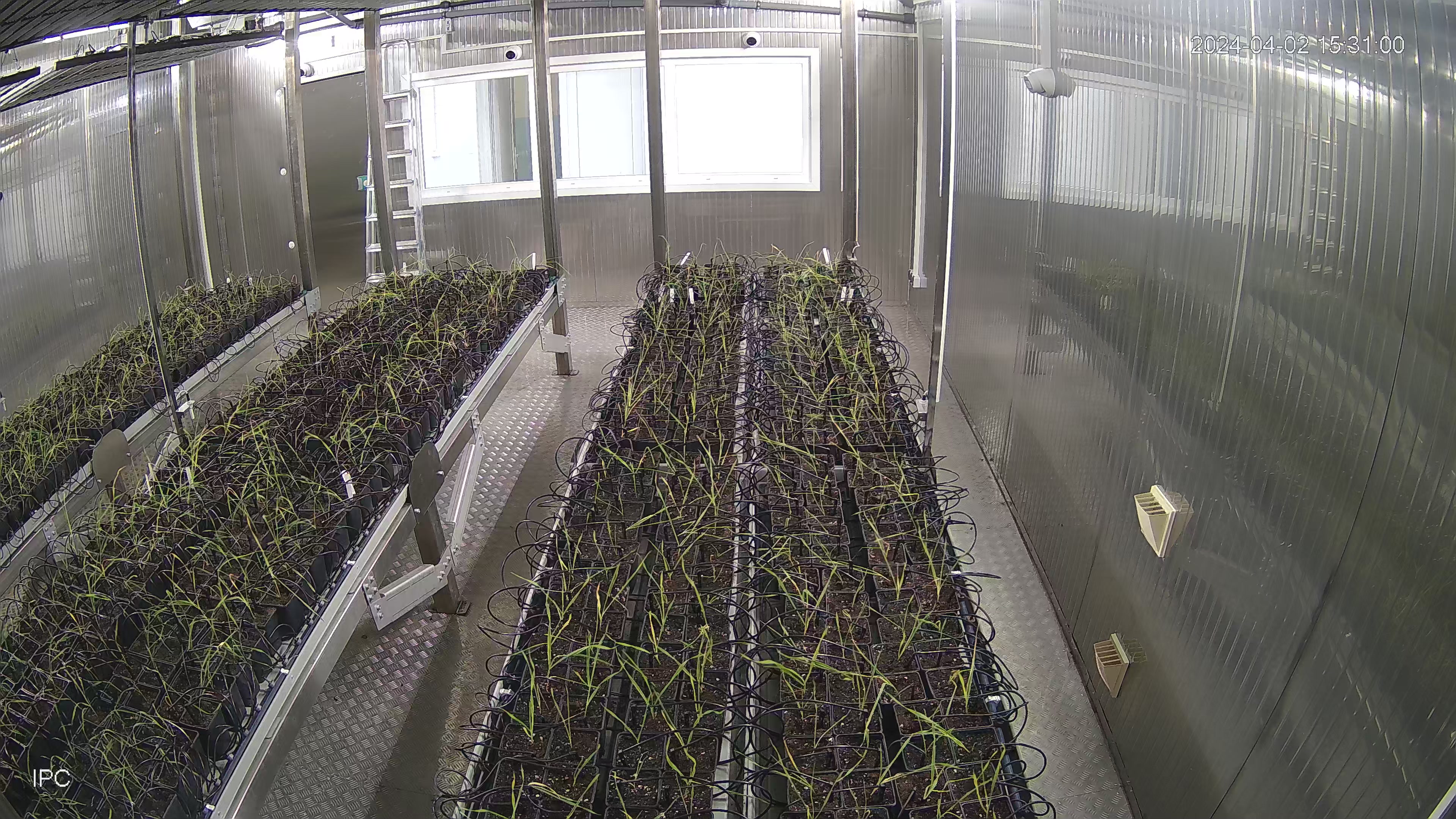 Smart plants Object Detection Dataset by Fin University