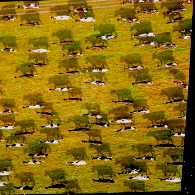 cowcounting - Roboflow Universe