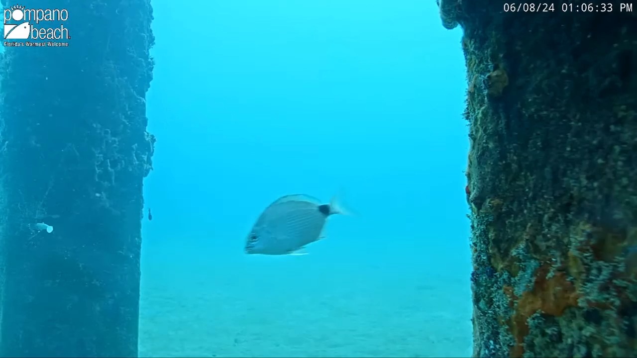 Tutorial (tutorial-v4ons) - Roboflow Universe