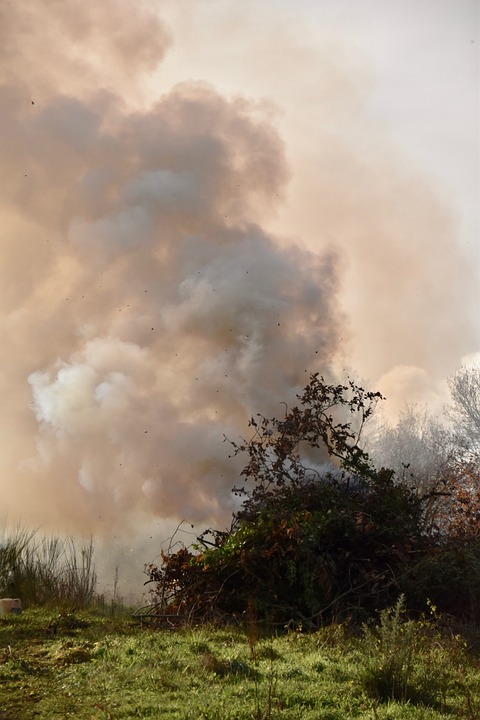 FIRE DETECTION-YOLOV5 Object Detection Dataset (v1, 2022-11-25 10:34pm ...