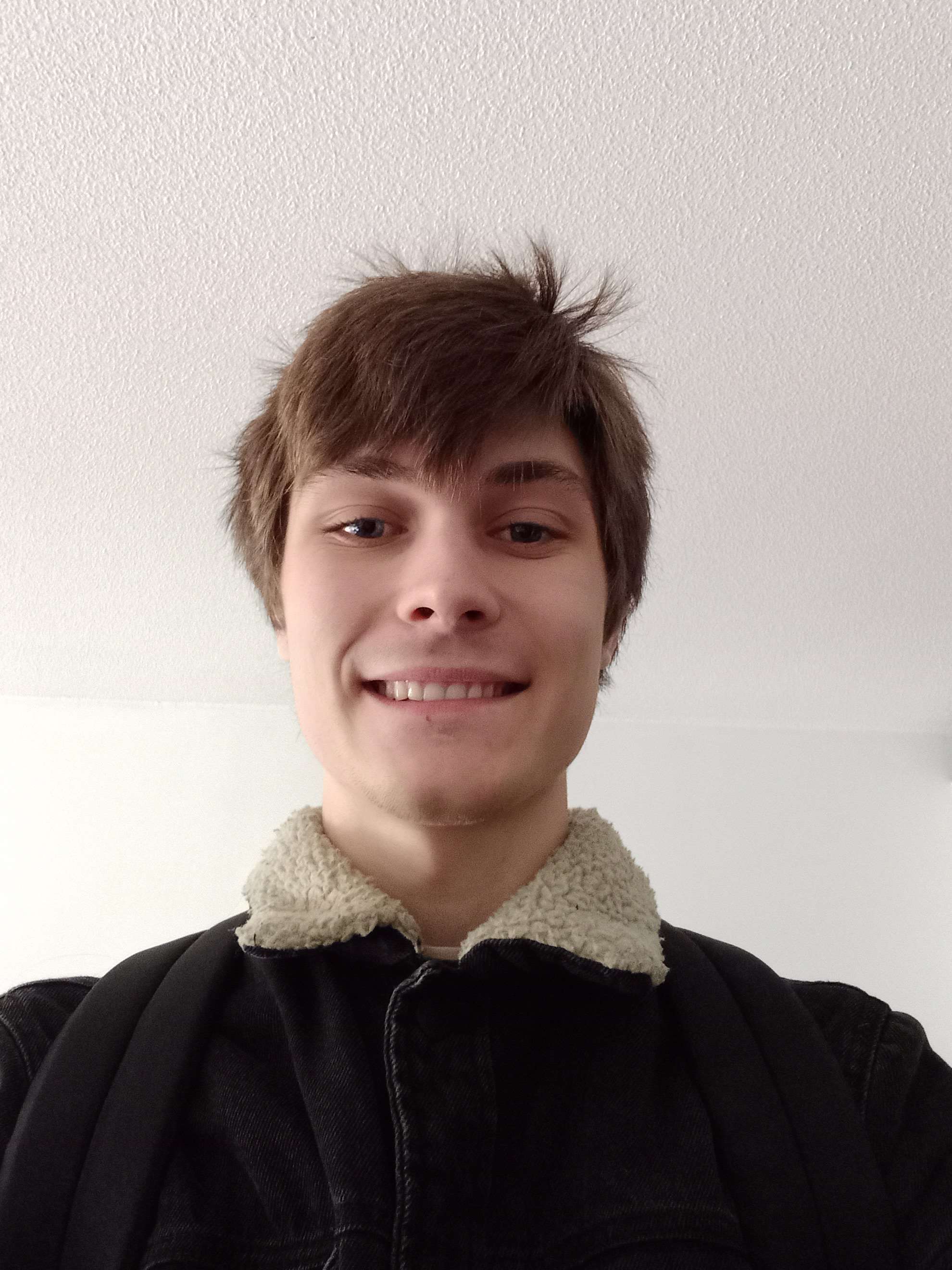 Face Recog Object Detection Dataset By Leonid Rey