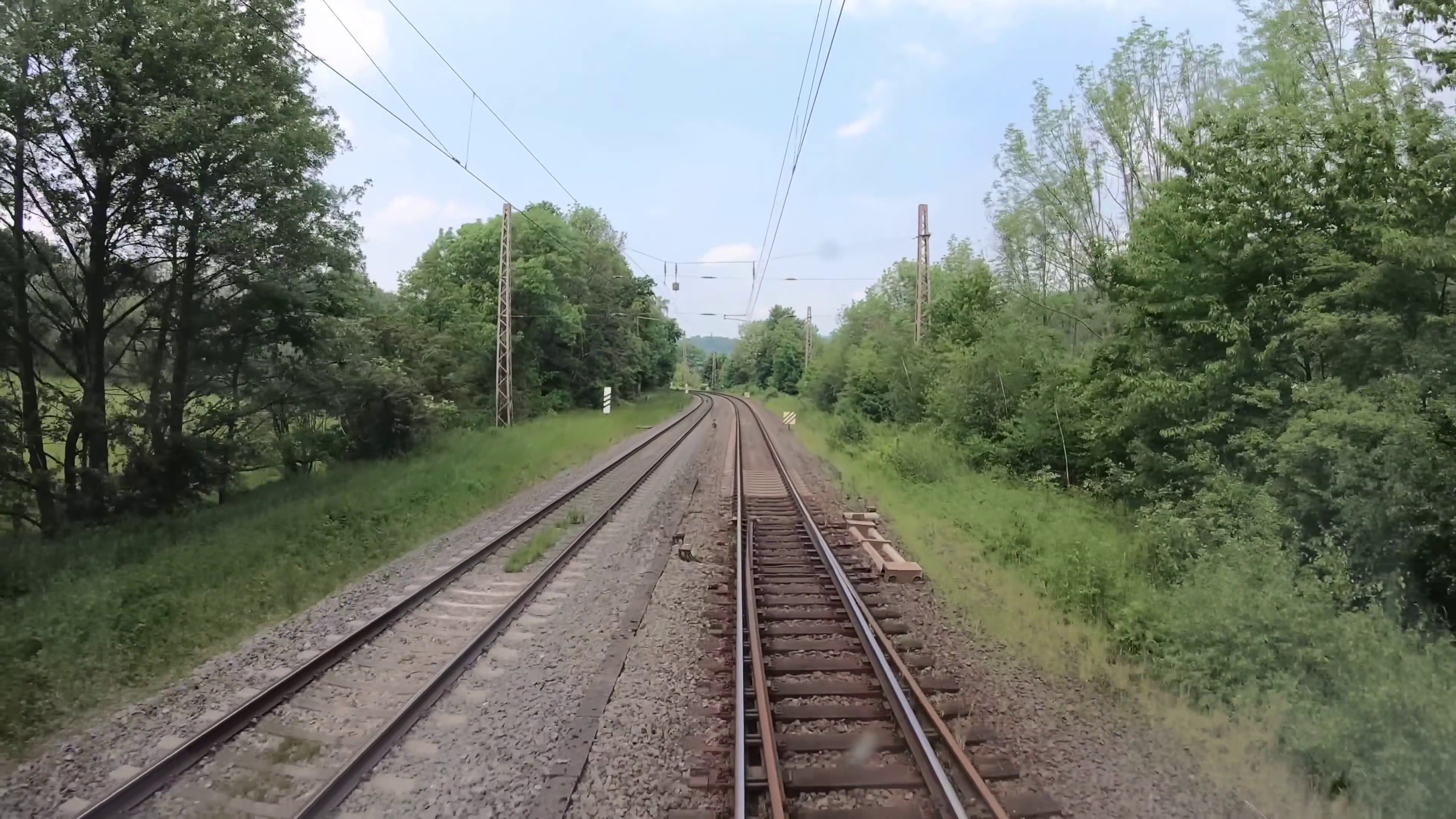 vegetation segmentation Instance Segmentation Model by RWTH