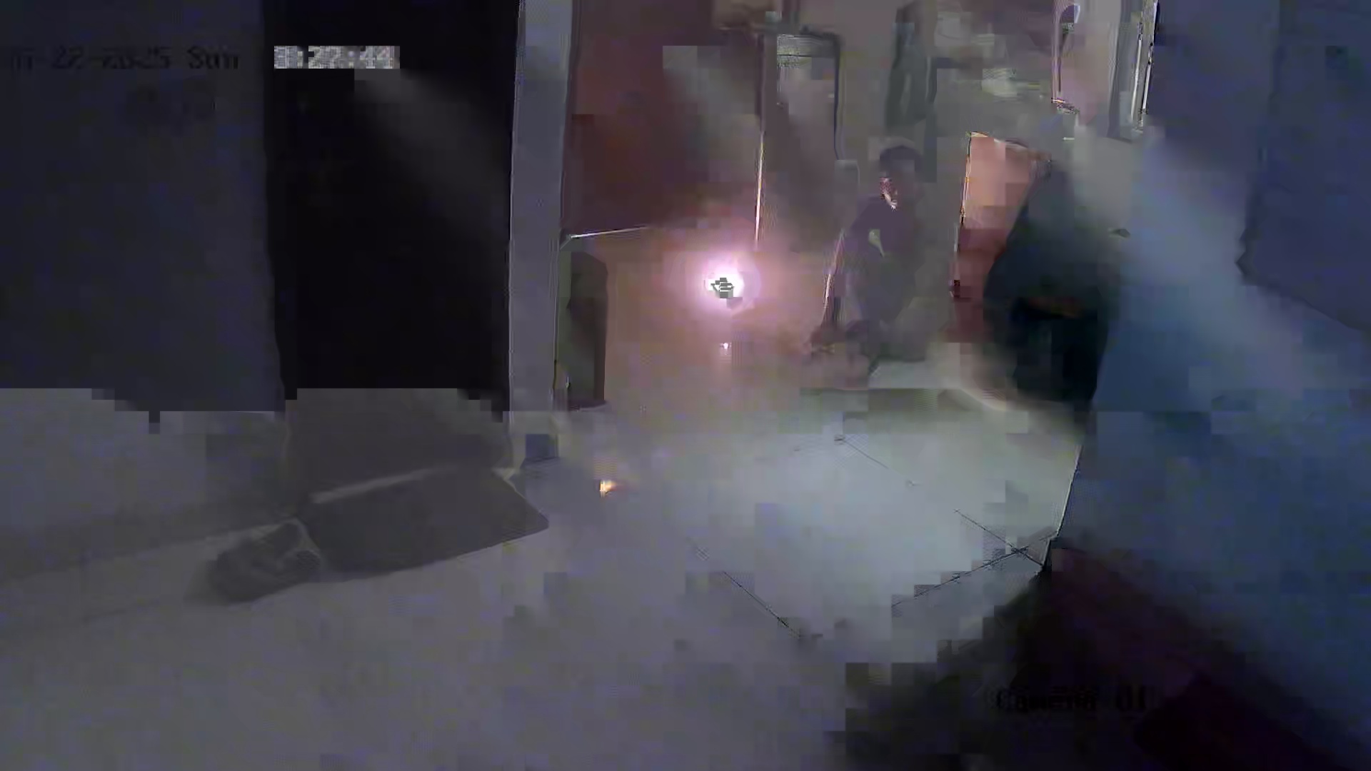 Fire-Smoke Object Detection Dataset by ppedetectionyolo