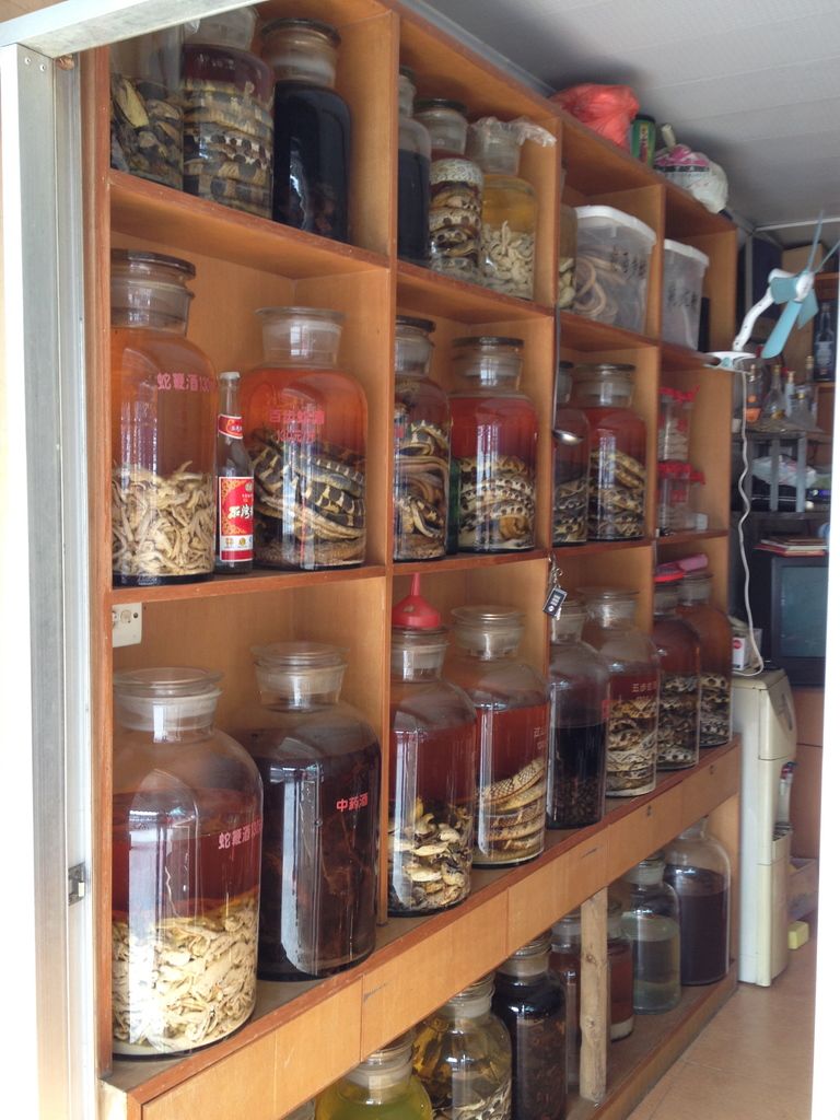 Final Object Detection Dataset and Pre-Trained Model by Final IITB