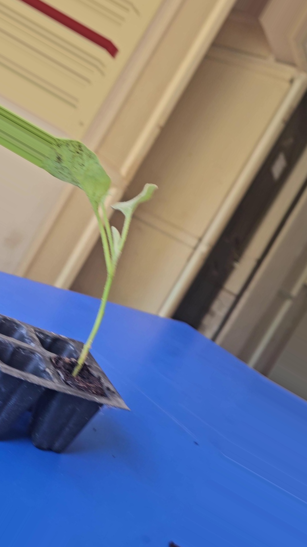 just trying (just-trying-imshu) - Roboflow Universe