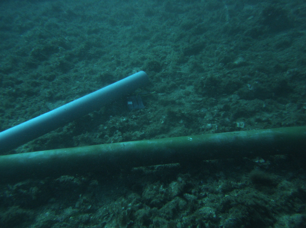 Pipeline (pipeline-j51bm) - Roboflow Universe