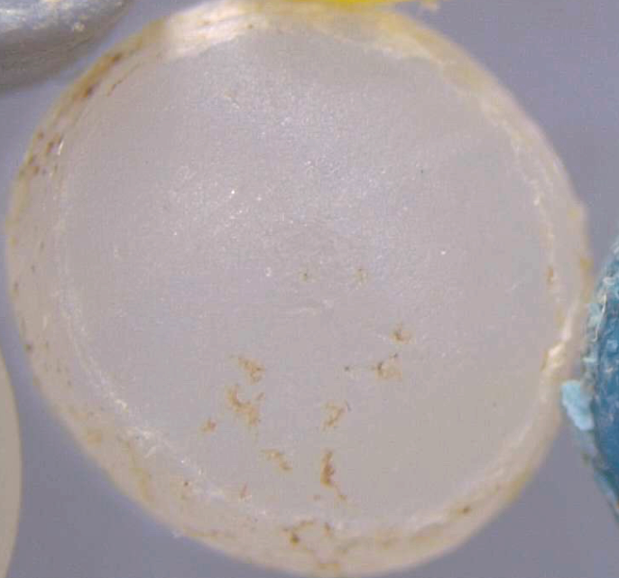 Microplastics Object Detection Model by Microplastics