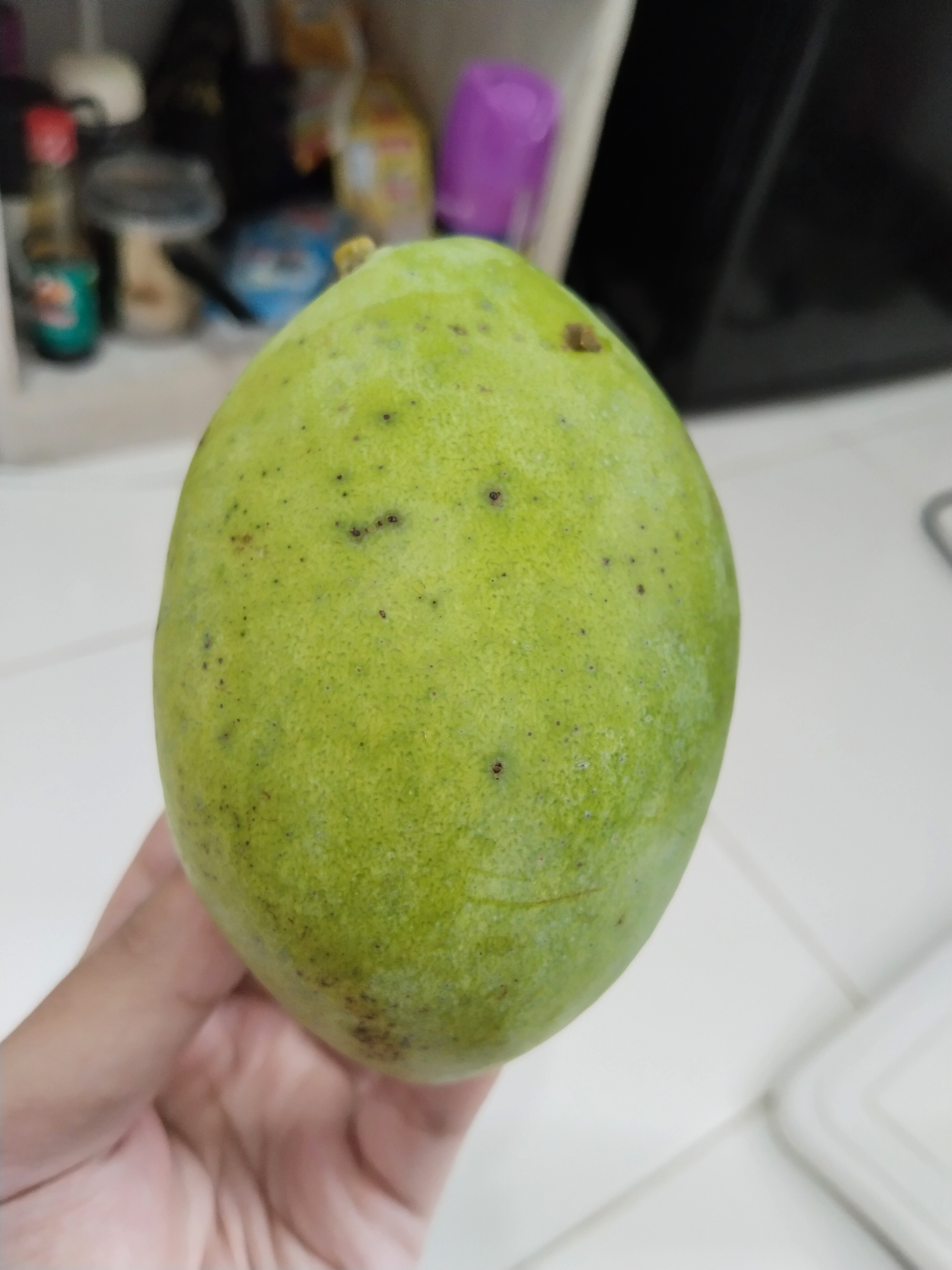 Mango Ripeness Level Instance Segmentation Dataset by VIAtoCOCOconversion