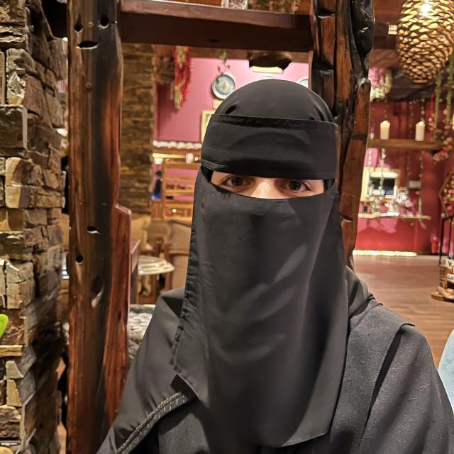Face Detection(masks/veiled) Object Detection Dataset by zia