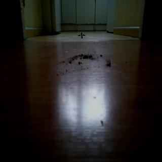 dust detection Object Detection Dataset and Pre-Trained Model by Hari Prakash