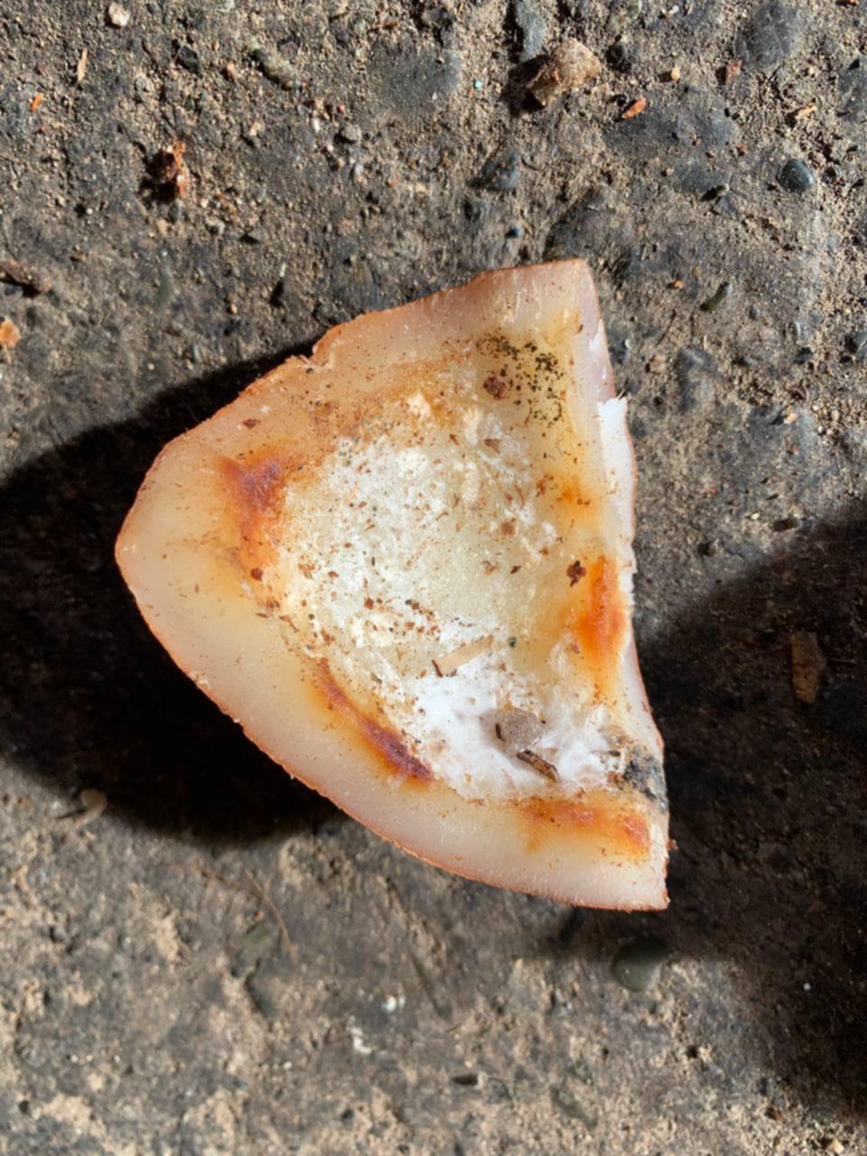 moisture Object Detection Dataset by copra