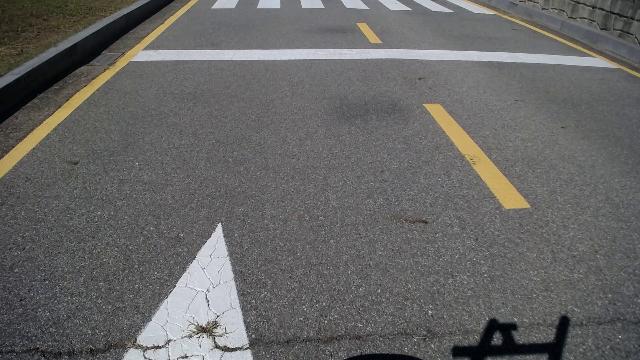 lane marking-v1 Instance Segmentation Dataset by inc