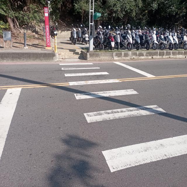 final Instance Segmentation Dataset by inc