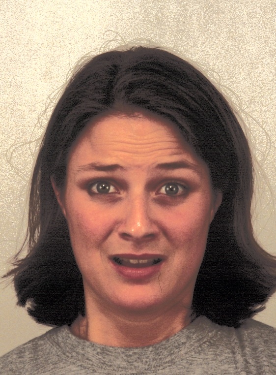 kdef_face Object Detection Dataset by test